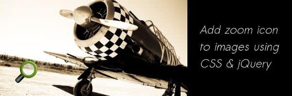 Agrega un ícono de zoom con CSS y con jQuery - Pixelco Tech